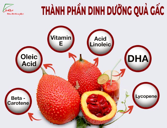 Bột Gấc - Gac Fruit Powder - 50g – Foody NZ - Vietnamese Food Store